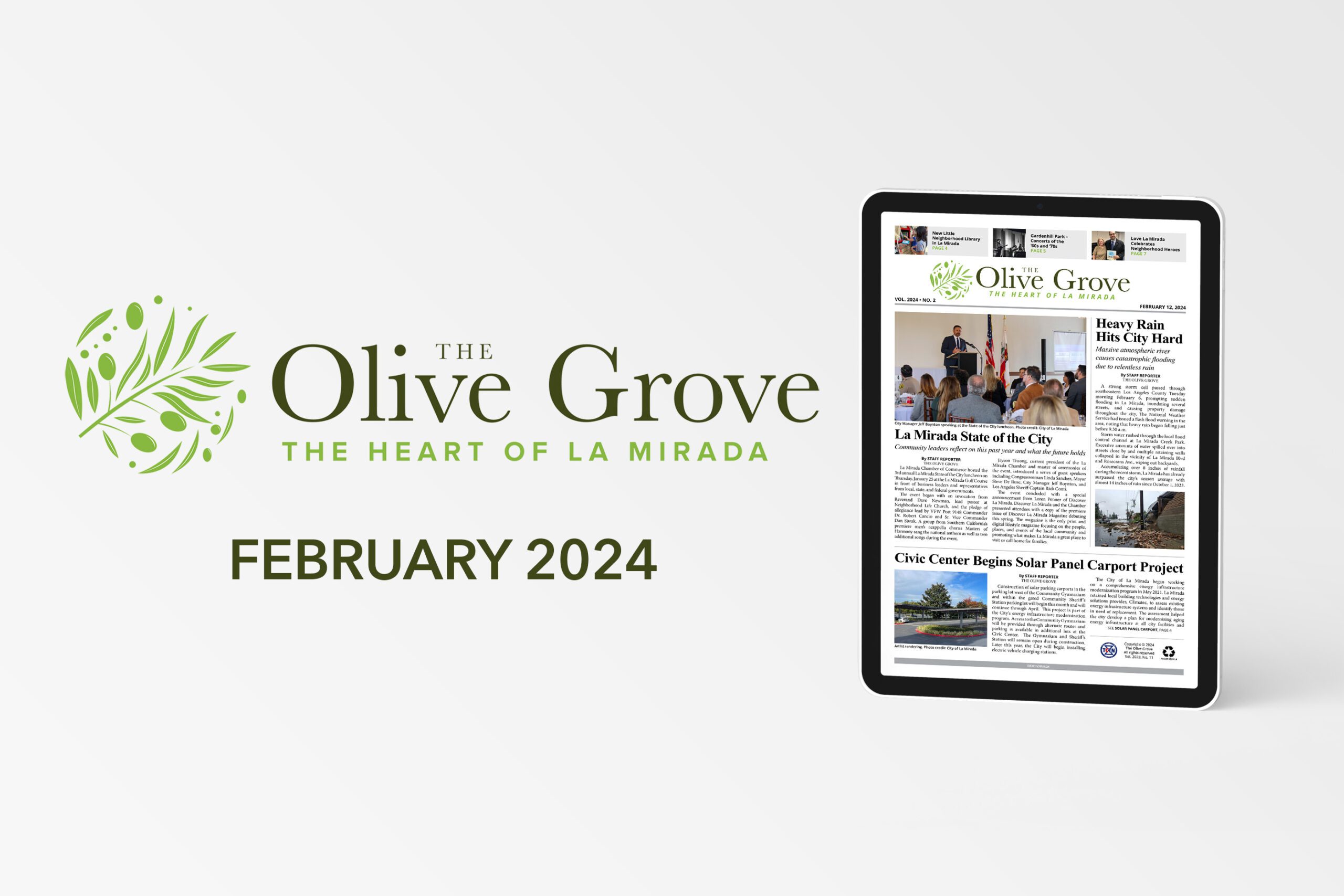 e-Edition | The Olive Grove News